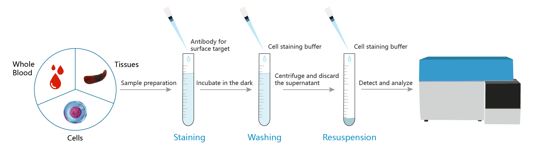 Flow Cytometry Cell Staining Buffer Recipe | Bryont Blog Flow Cytometry Cell Staining Buffer Recipe | Bryont Blog